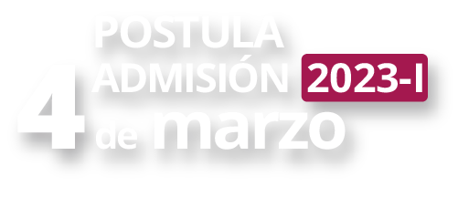 Universidad Católica Sedes Sapientiae - UCSS